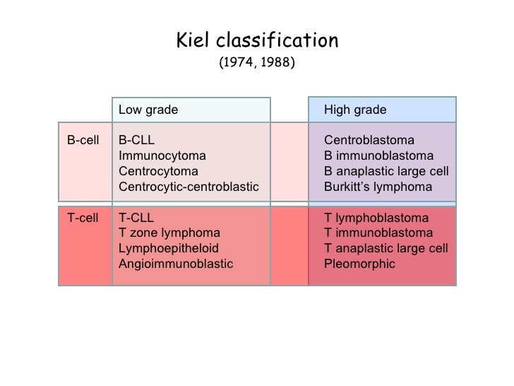 Modern classification of lymphomas (2010) VEAB presentation