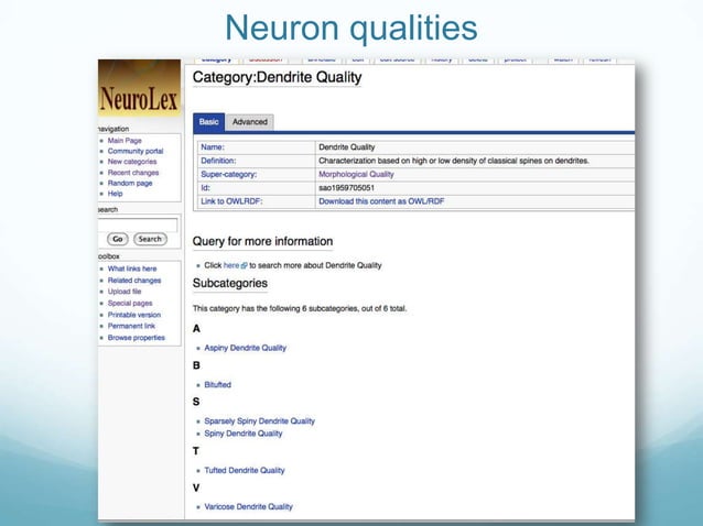 Neuroscience Information Framework Ontologies: Nerve cells in Neurolex ...