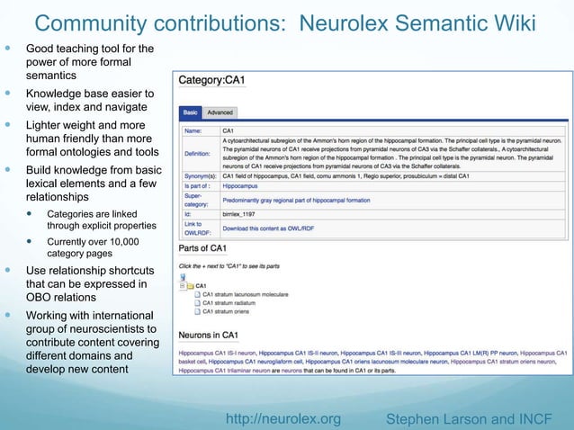 Neuroscience Information Framework Ontologies: Nerve cells in Neurolex ...