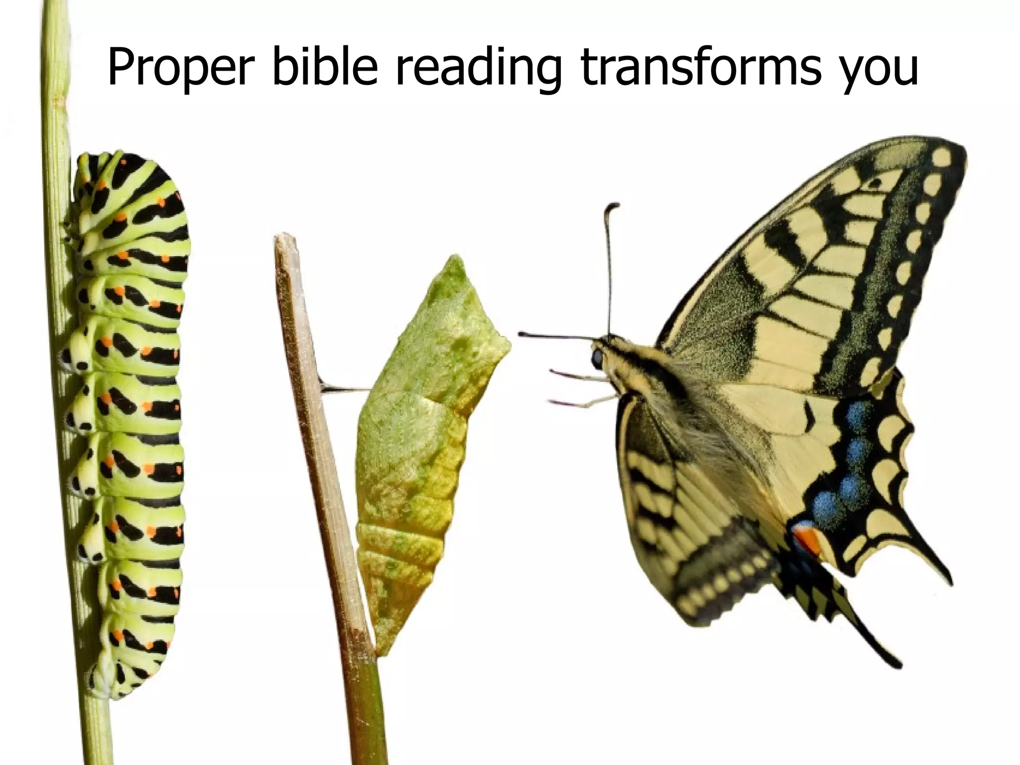 Transformative Bible Reading | ODP