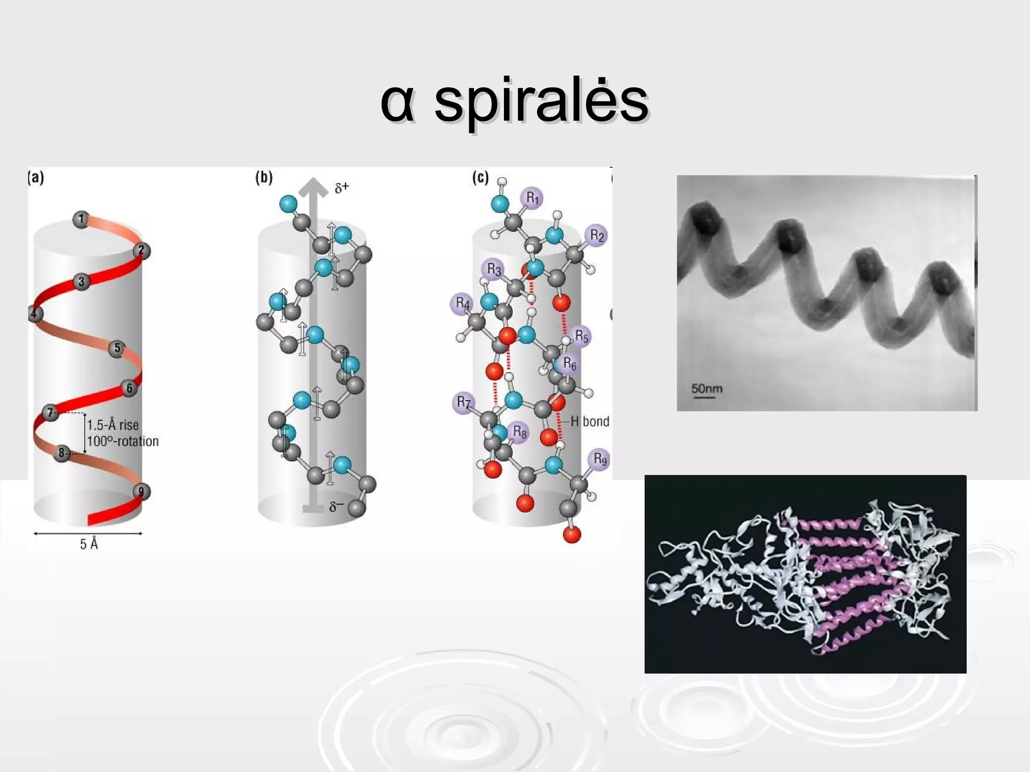 2010 01 (ivadas ir biologija) | PPT