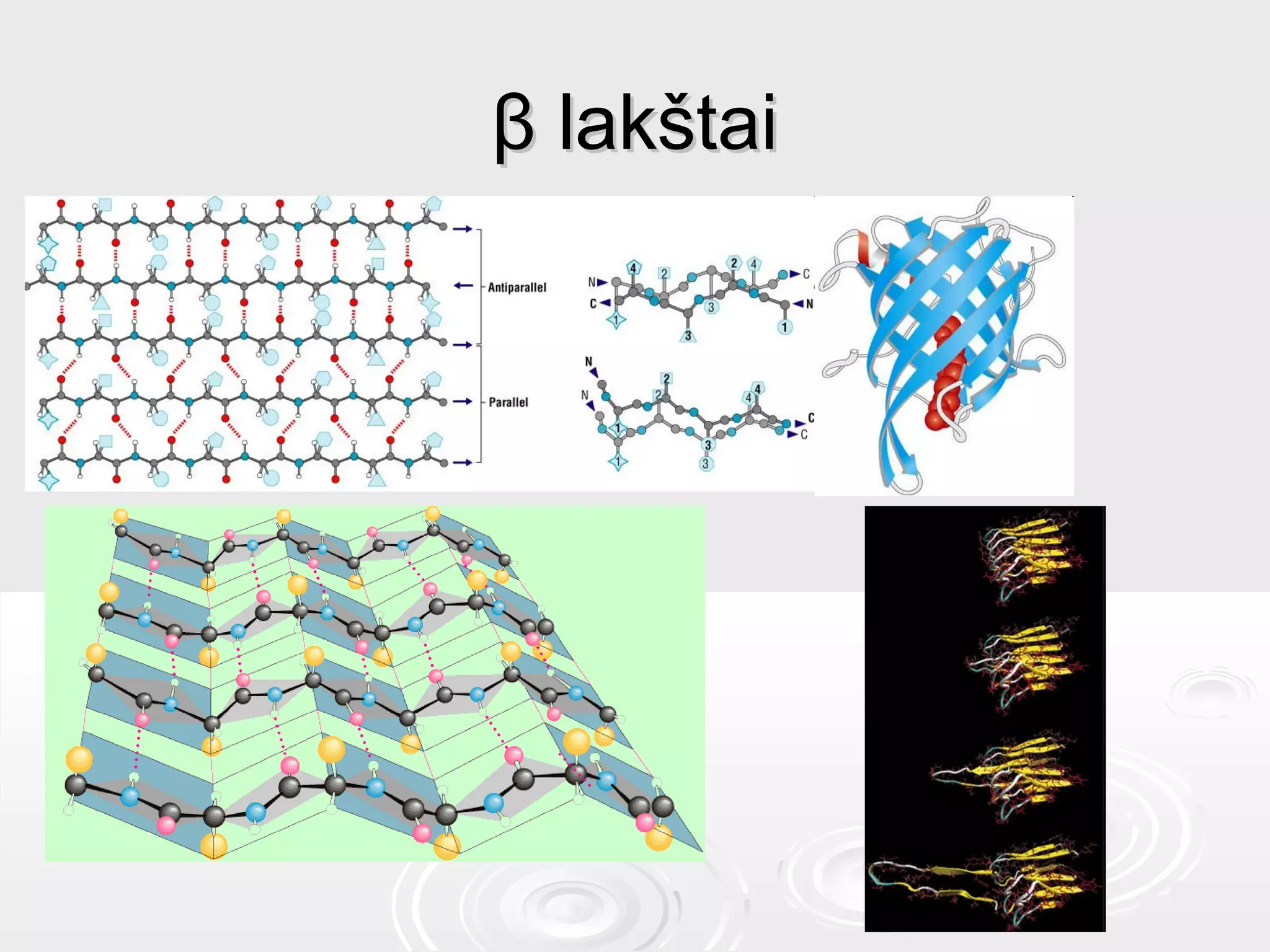 2010 01 (ivadas ir biologija) | PPT