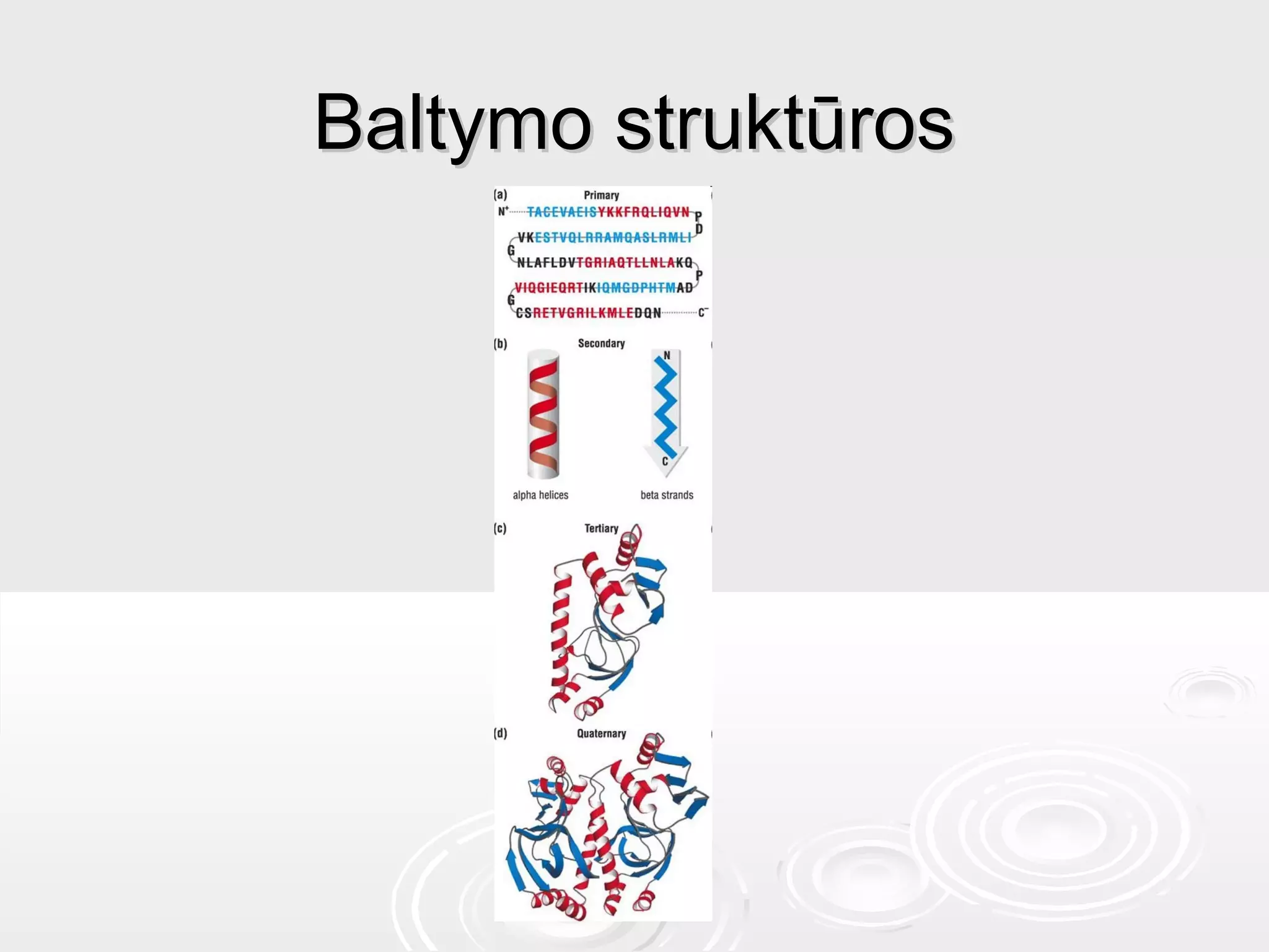 2010 01 (ivadas ir biologija) | PPT