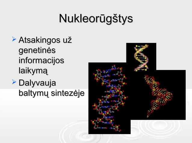 2010 01 (ivadas ir biologija) | PPT