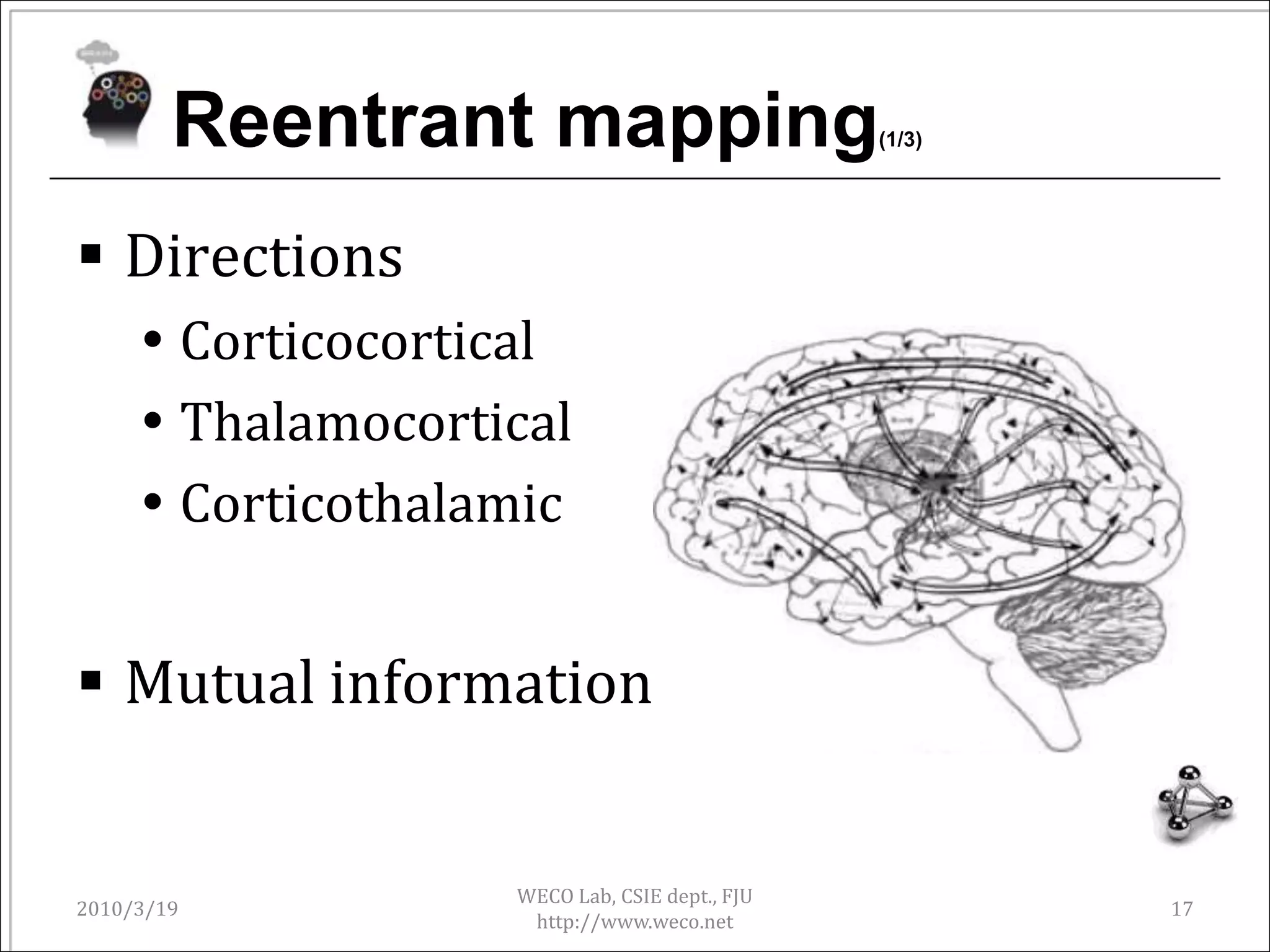 Brain Network - Thalamocortical Motif | PPTX