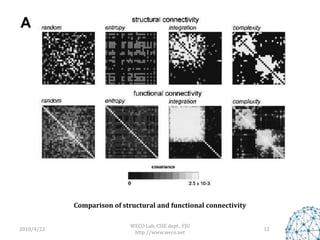 Exploring Complex Networks | PPT