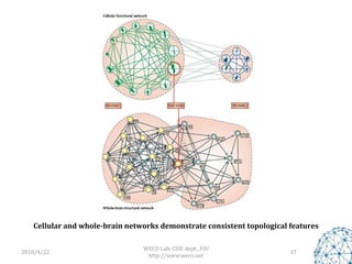 Exploring Complex Networks | PPT