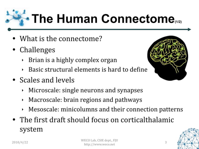 Exploring Complex Networks | PPT