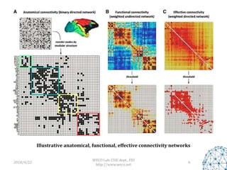 Exploring Complex Networks | PPT