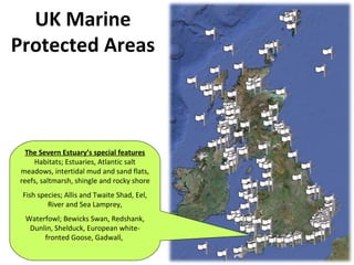 2010 04 The Severn Estuary European Marine Site – Christine Marsh | PPS