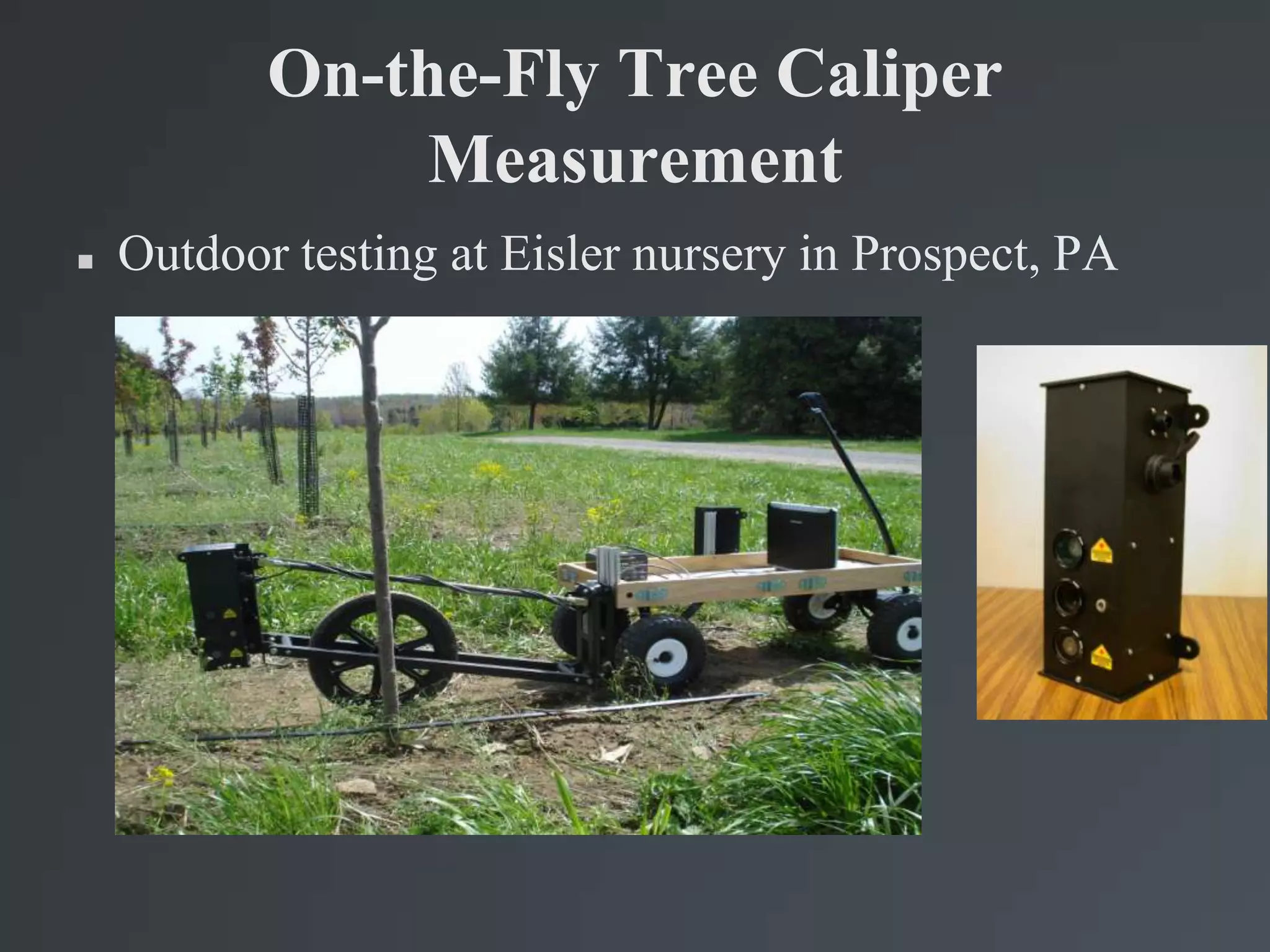 On-the-fly Tree Counting and Caliper Measure | PPTX