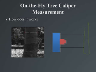 On-the-fly Tree Counting and Caliper Measure | PPTX