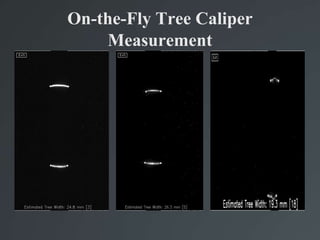 On-the-fly Tree Counting and Caliper Measure | PPTX