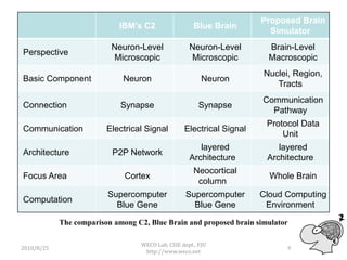 On the Development of a Brain Simulator | PPTX