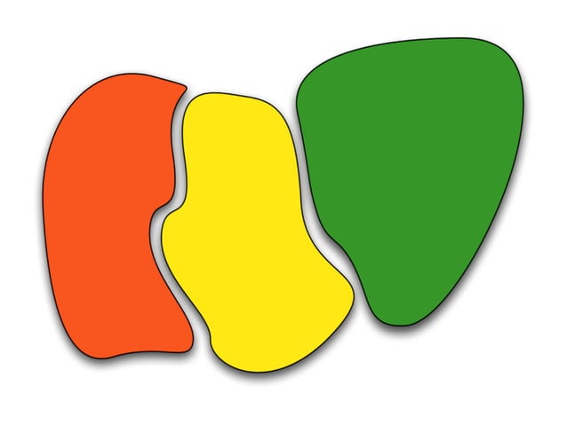 STRING/STITCH tutorial | PPT