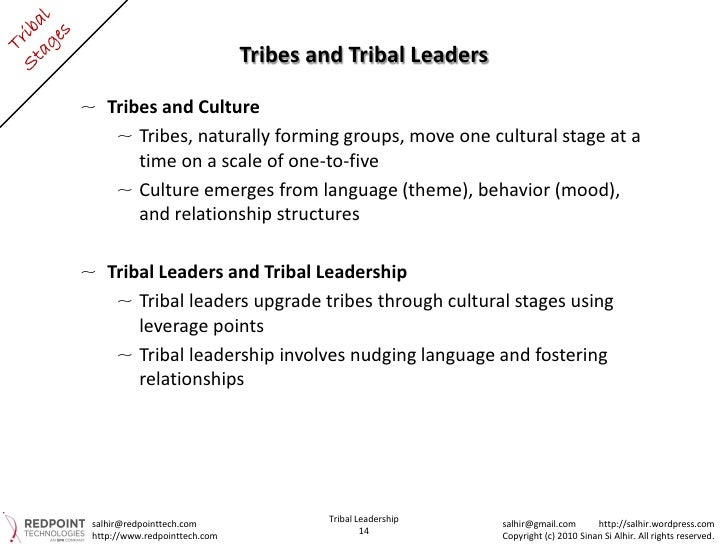 Tribal leadership: tribes and leaders (part 1 of 3)
