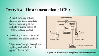 Electrophoresis | PPTX
