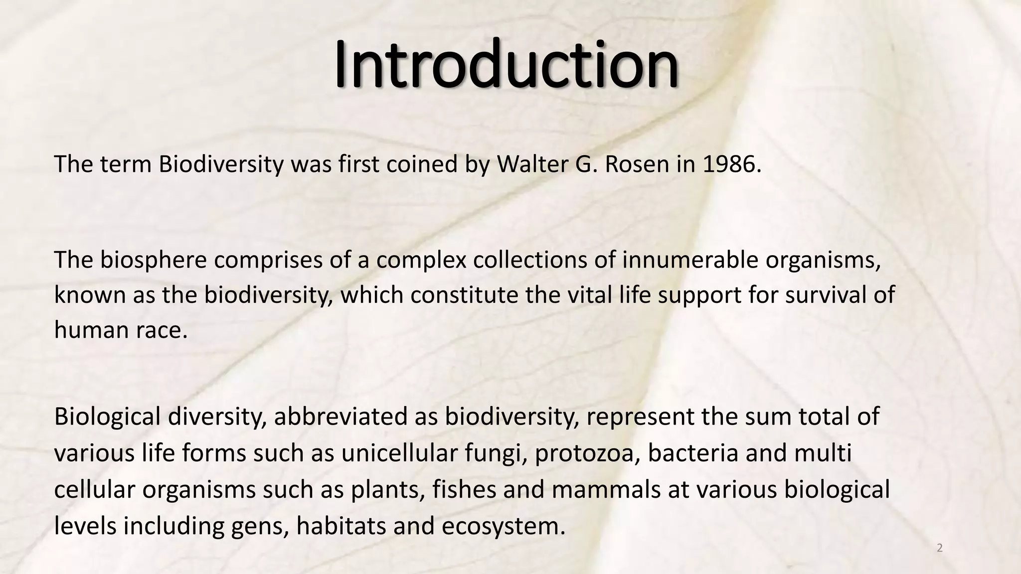 Presentation on Biodiversity | PPTX