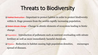Presentation on Biodiversity | PPTX