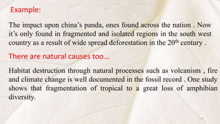 Presentation on Biodiversity | PPTX