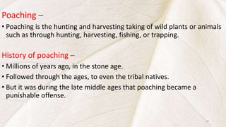 Presentation on Biodiversity | PPTX