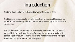 Presentation on Biodiversity | PPTX