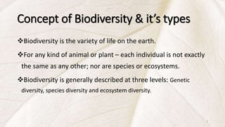 Presentation on Biodiversity | PPTX
