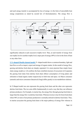 Energy in Ecosystem pattern of flow of energy through the ecosystem and ...