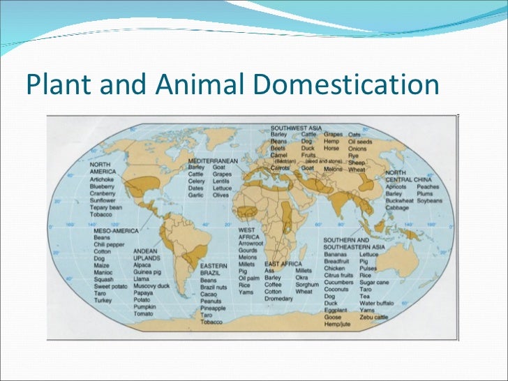 2012: Birth of Agriculture