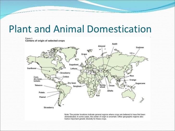 2012: Birth of Agriculture