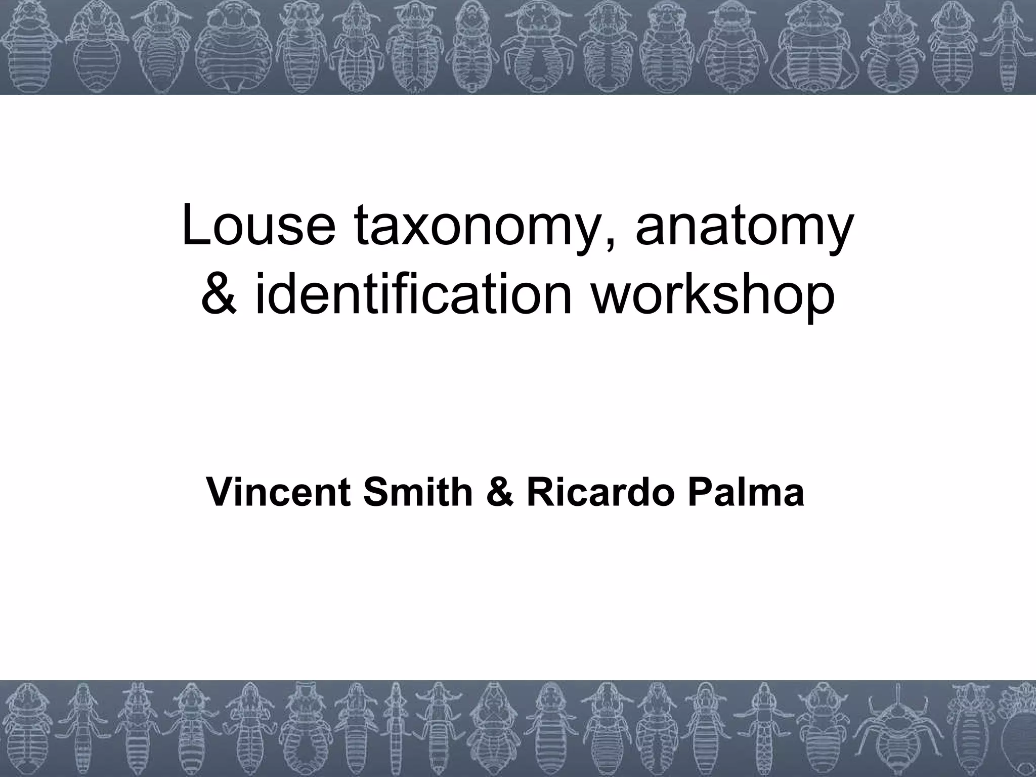 Louse taxonomy, anatomy and identification workshop | PPT