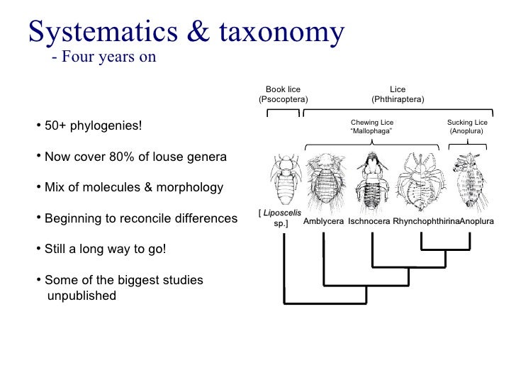 Louse taxonomy, anatomy and identification workshop