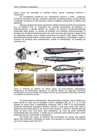 2010 bemvenuti peixes_morfologia_caderno_ecol_aquat | PDF