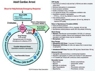 2010 CPR & ECC Guidelines | PPTX