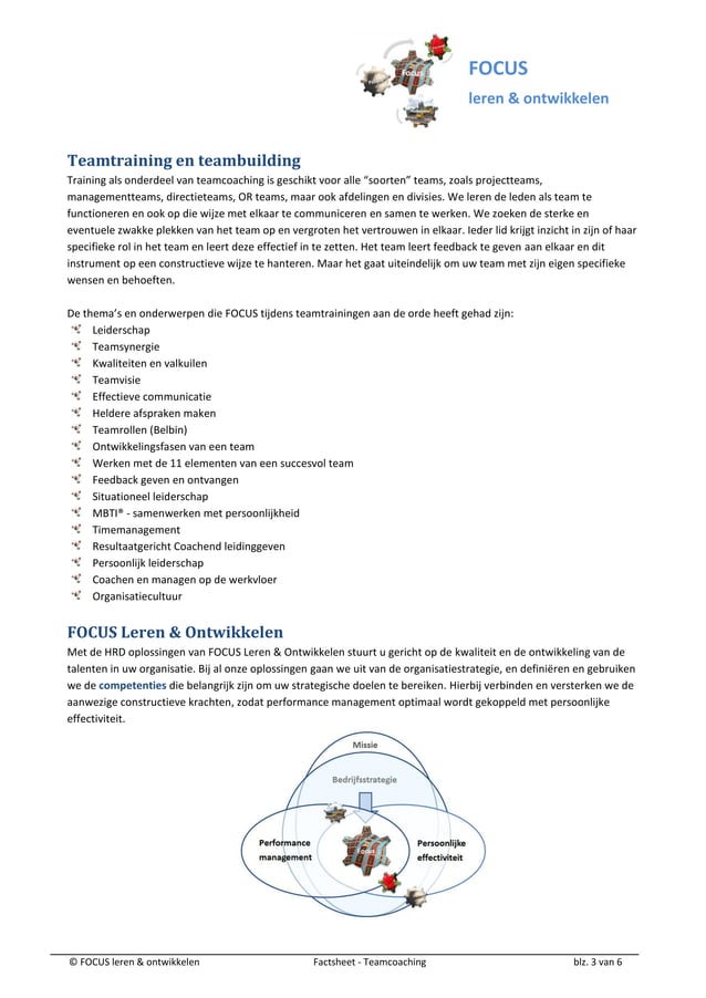 Focus Factsheet Teamcoaching | PDF