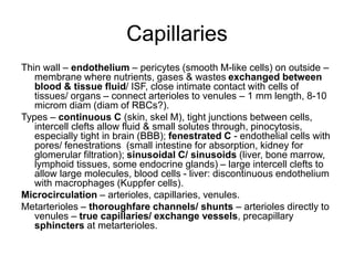 2010 FOMS PL11 - Blood & Blood Vessels.ppt
