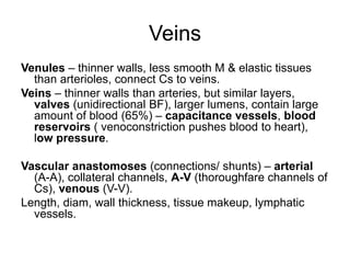 2010 FOMS PL11 - Blood & Blood Vessels.ppt