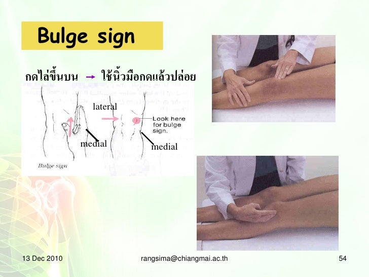 2010 musculo skeleton assessment