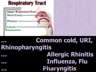 2010_PMC Respiatory Disease | PPT