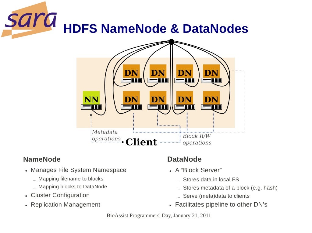 HDFS NameNode & DataNodesNameNode DataNode