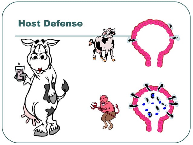 Current status and future challenges in mastitis research | PPT ...
