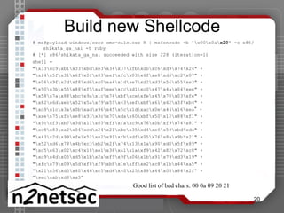 2011-03 Developing Windows Exploits | PPT