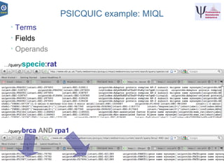 Molecular interactions. PSICQUIC and IntAct. | PPT | Databases | Computer Software and Applications