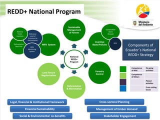 2011 06-05 presentation side event ecuador final | PPT | Free Download