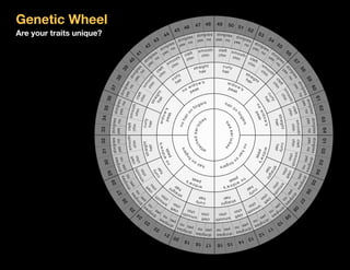 2011 0801 genetic wheel