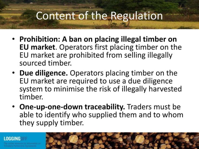 What is EU timber regulation? | PPTX | Business | Business and Finance