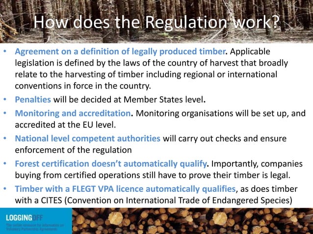 What is EU timber regulation? | PPTX | Business | Business and Finance