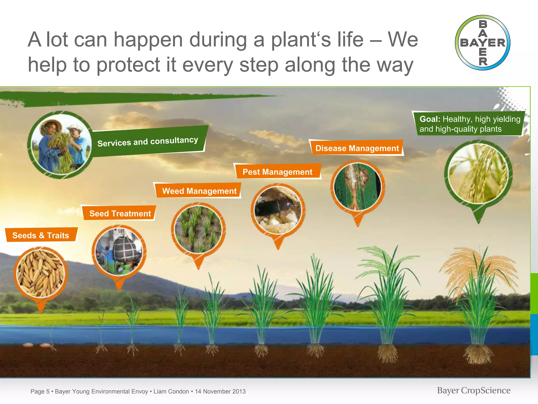 Preventing Food Loss in Agriculture | PPT