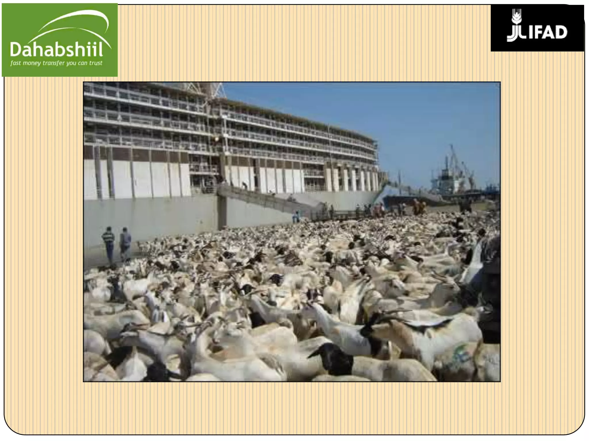 Dahabshiil Presentation | PPTX