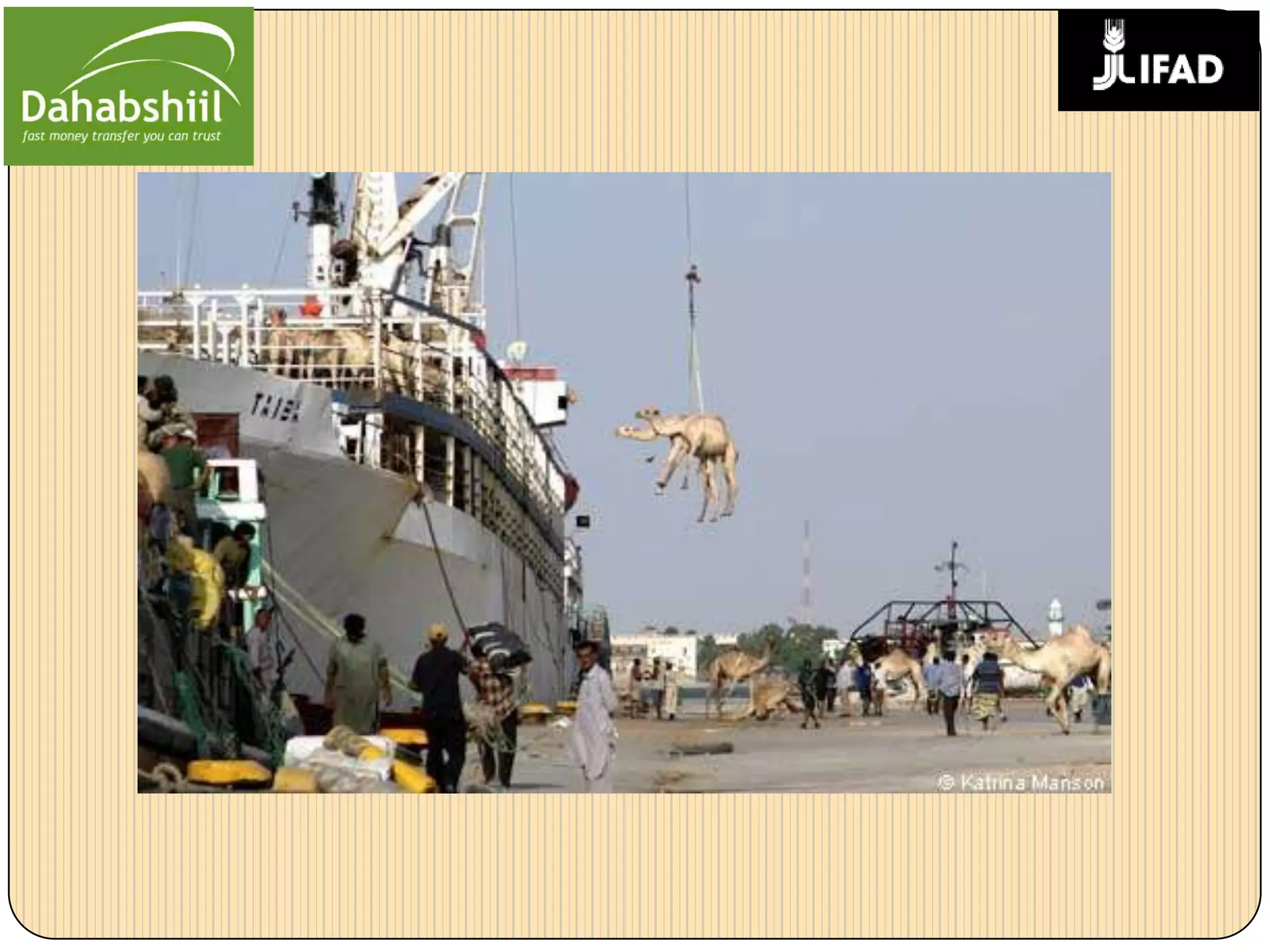 Dahabshiil Presentation | PPTX